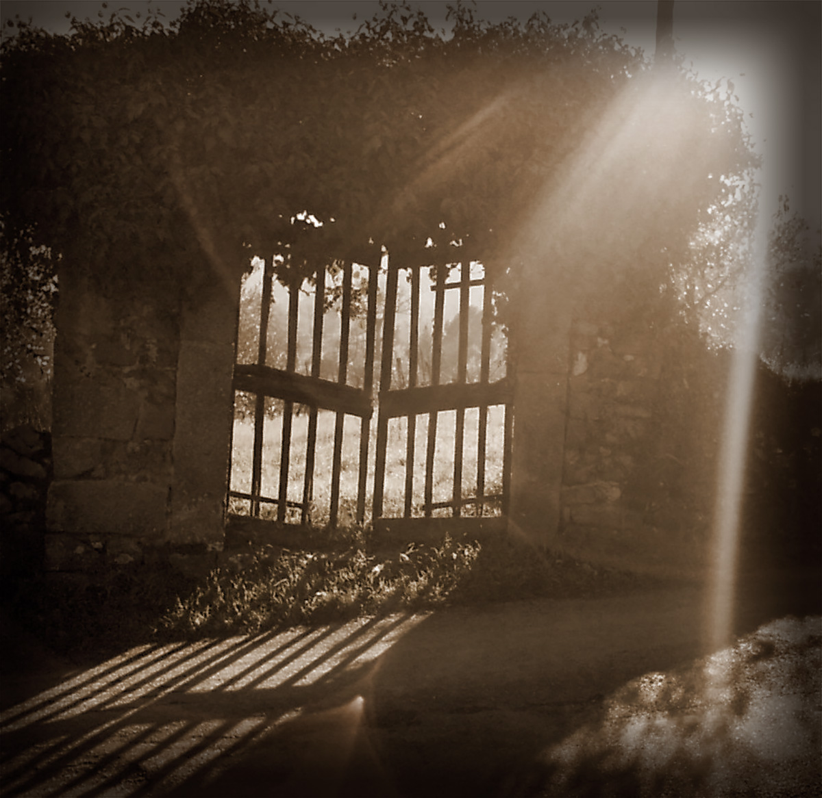 There Are Doors and There Are Gates – Erika Bizzarri