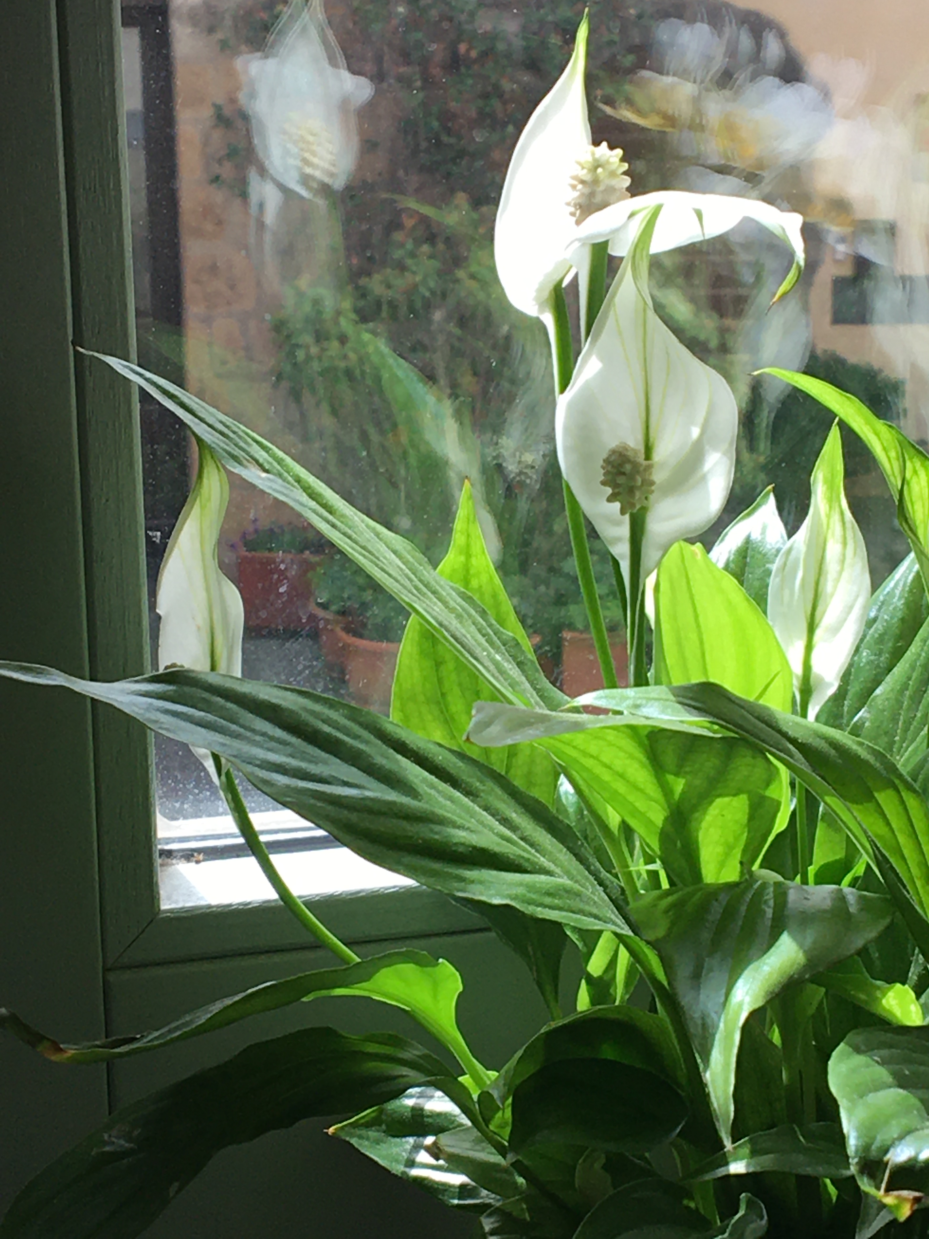 Easter – Erika Bizzarri